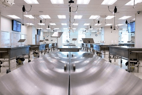 College Of Medicine Welcomes New Anatomy Lab – Texas A&M Stories