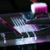 Microfluidic System With Cell-Separating Powers May Unravel How Novel Pathogens Attack – Texas A ...