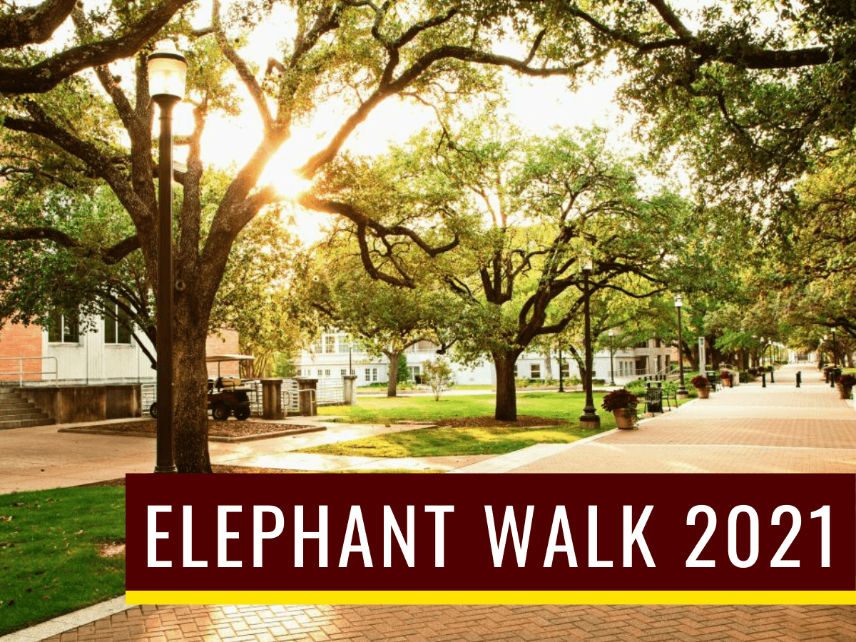 Elephant Walk – Texas A&M Stories