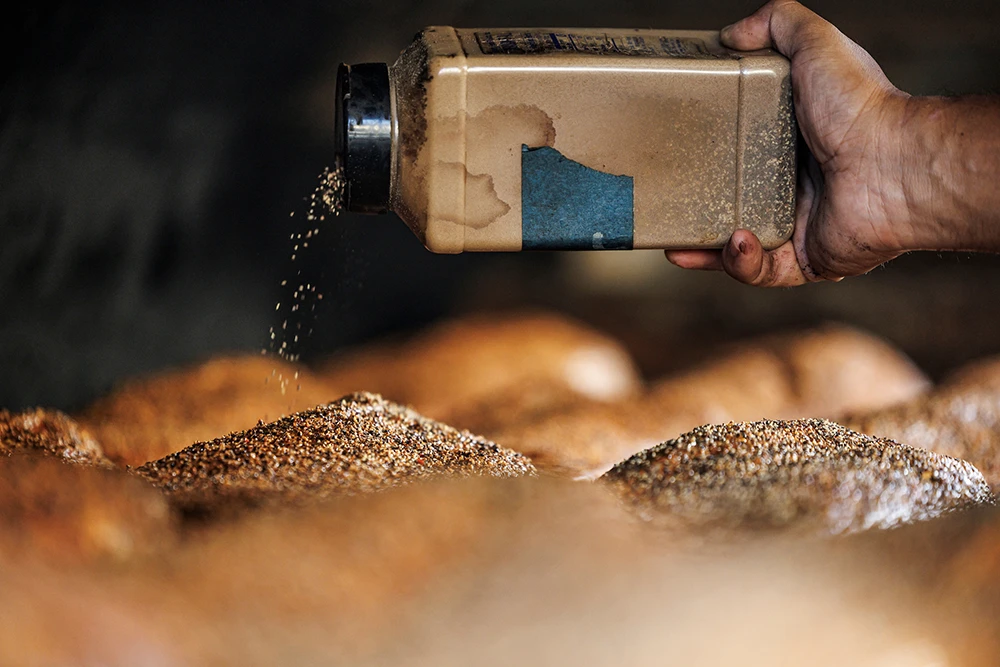 Bringing Aggie ingenuity to the Austin barbecue scene – Texas A&M Stories